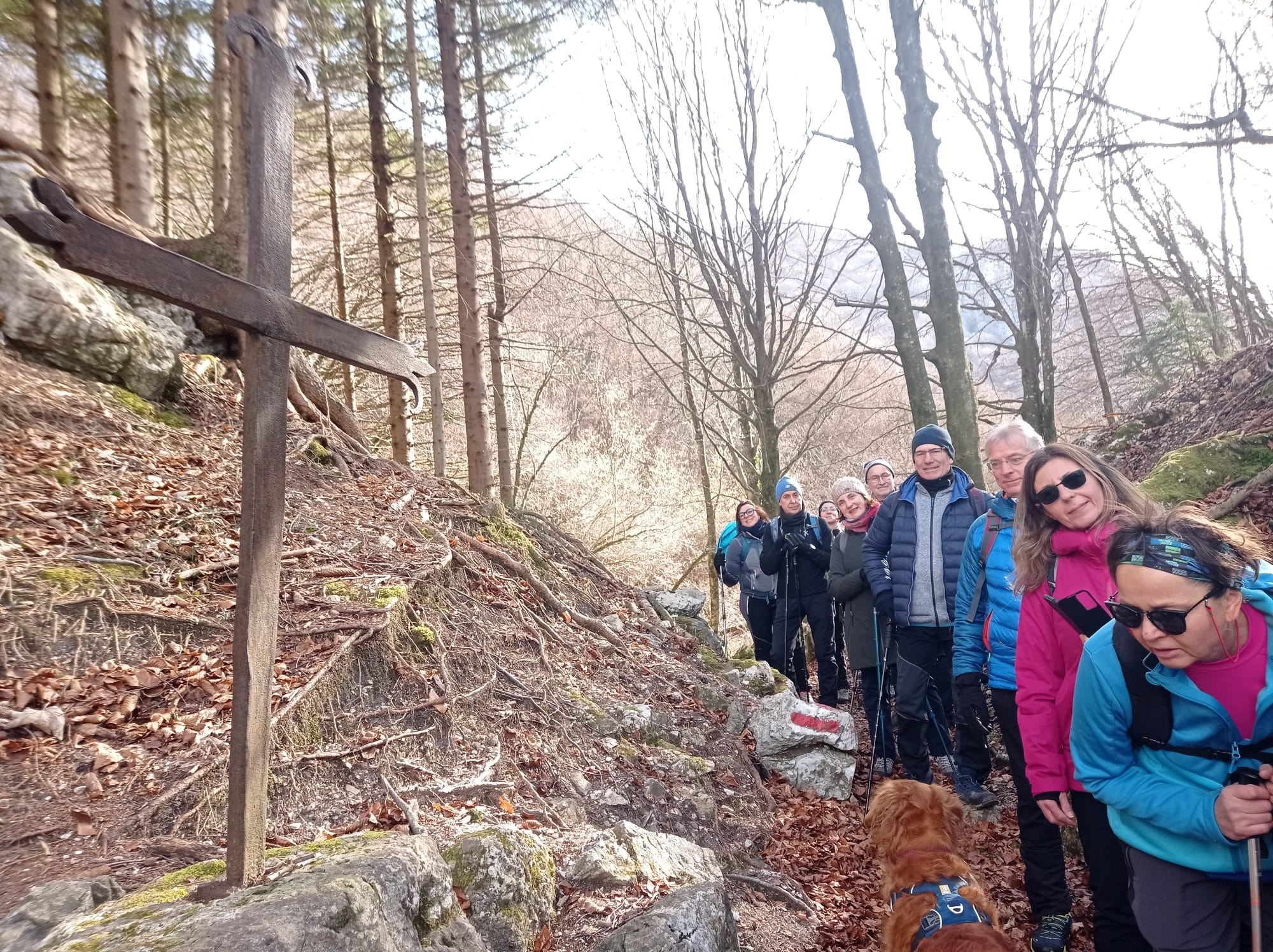 *Il Monte Jouf: paesaggi tra montagna e pianura | Parco Dolomiti Friulane
